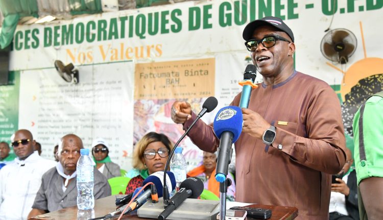 UFDG : Qui est qui, qui vient d’où ? Séparer la bonne graine de l ...